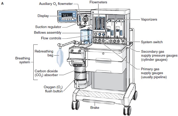 Anesthesia Machine – Kadrimed Life Sciences